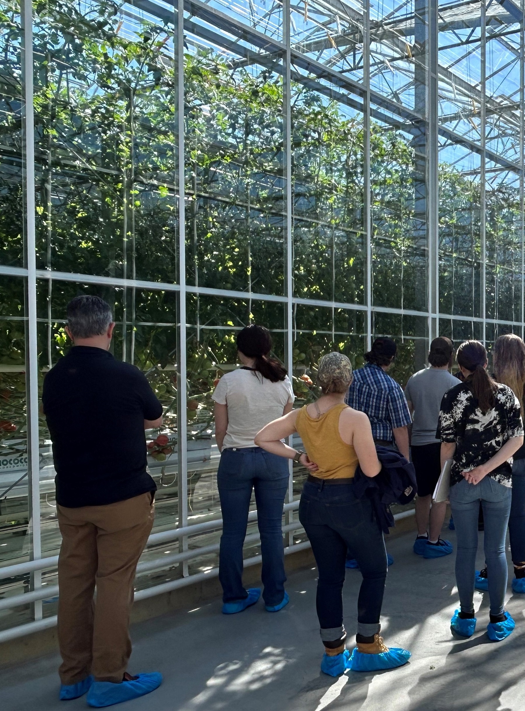 Virginia Western Community College awarded National Science Foundation ...